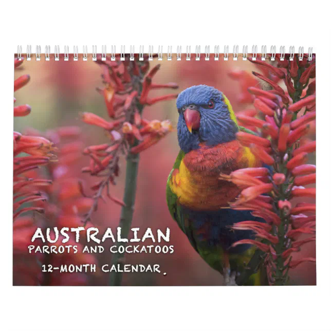 Australian Parrots & Cockatoos calendar - 3 sizes | Zazzle