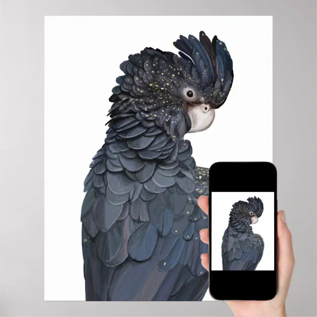 Australian Red-Tailed Black Cockatoo Poster | Zazzle