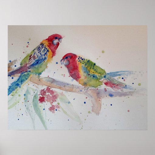 Australian Rosella Parrot Watercolour art Poster | Zazzle