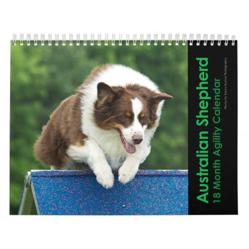 Australian Shepherd Agility 18 Month Wall Calendar | Zazzle
