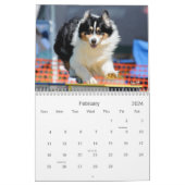 Australian Shepherd Agility Calendar | Zazzle