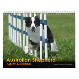 Australian Shepherd Agility Calendar | Zazzle