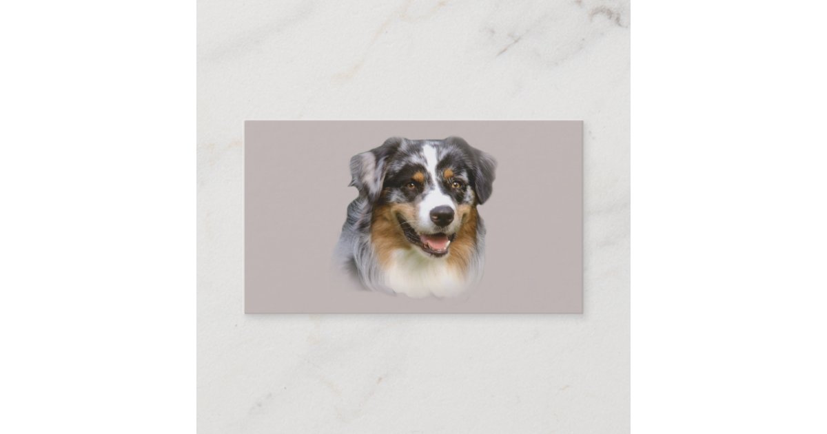 Australian Shepherd Breeder Business Card | Zazzle