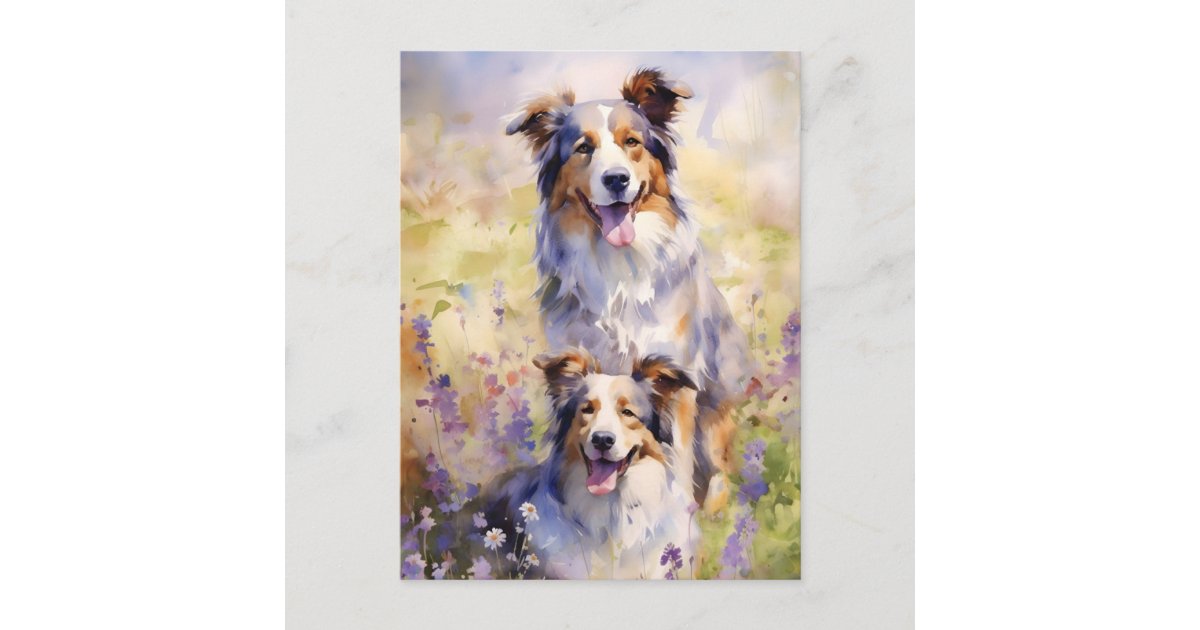 Australian Shepherd colorful watercolor artwork Postcard | Zazzle