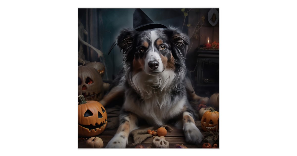 Australian Shepherd Pumpkins Halloween Scary Poster | Zazzle