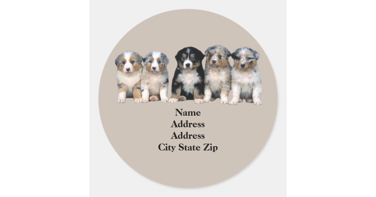 Australian Shepherd Puppies Address Label | Zazzle