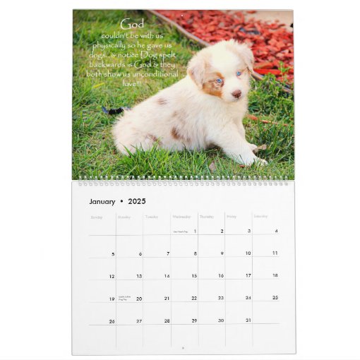 Australian Shepherd Puppies Calendar | Zazzle