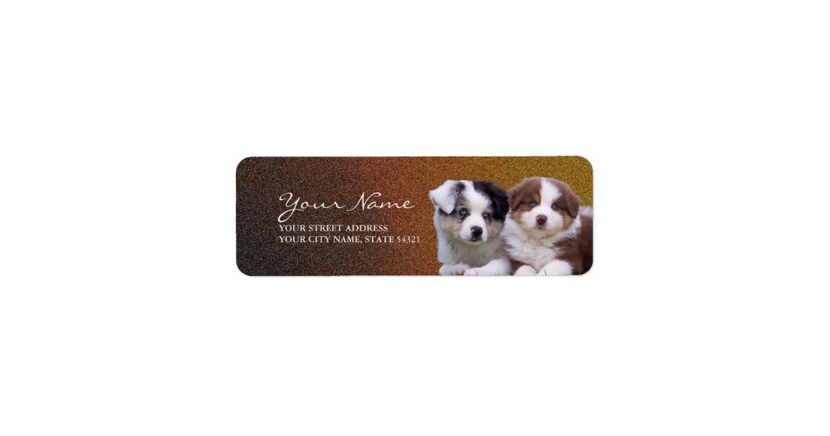 Australian Shepherd Puppies Return Address Label | Zazzle
