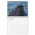AUSTRALIAN WILDLIFE CALENDAR | Zazzle