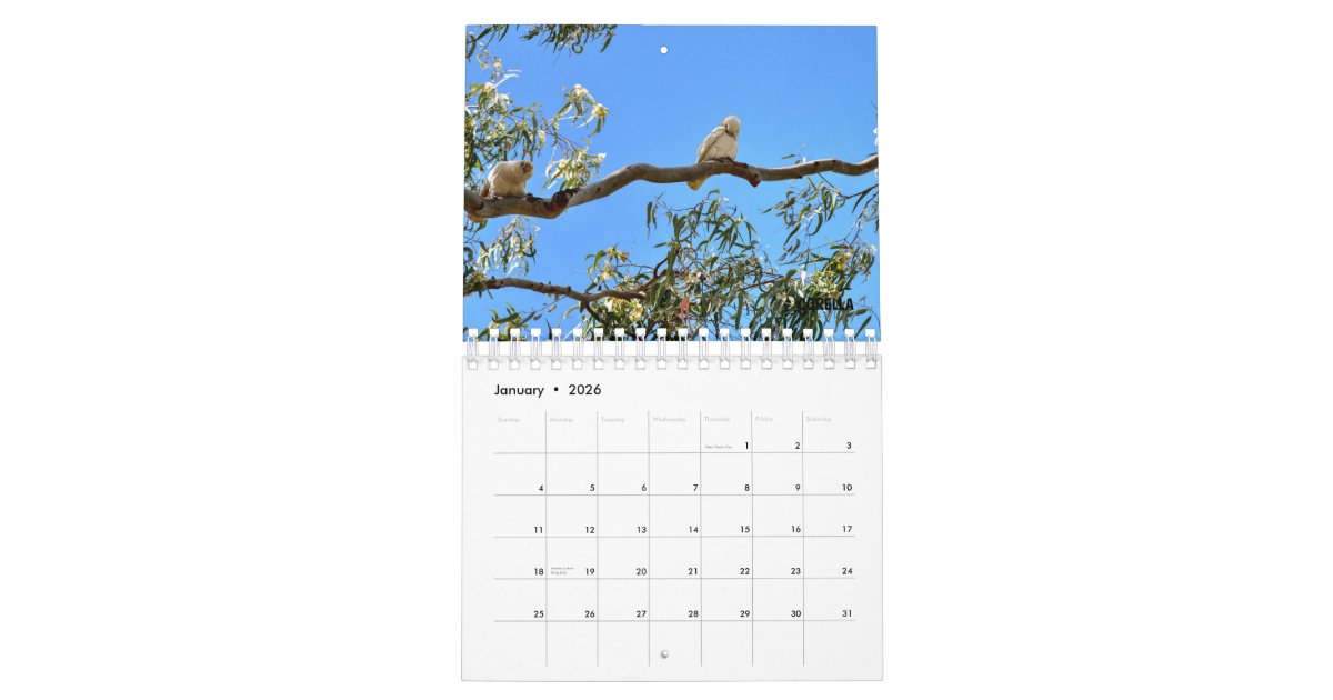 AUSTRALIAN WILDLIFE CALENDAR | Zazzle