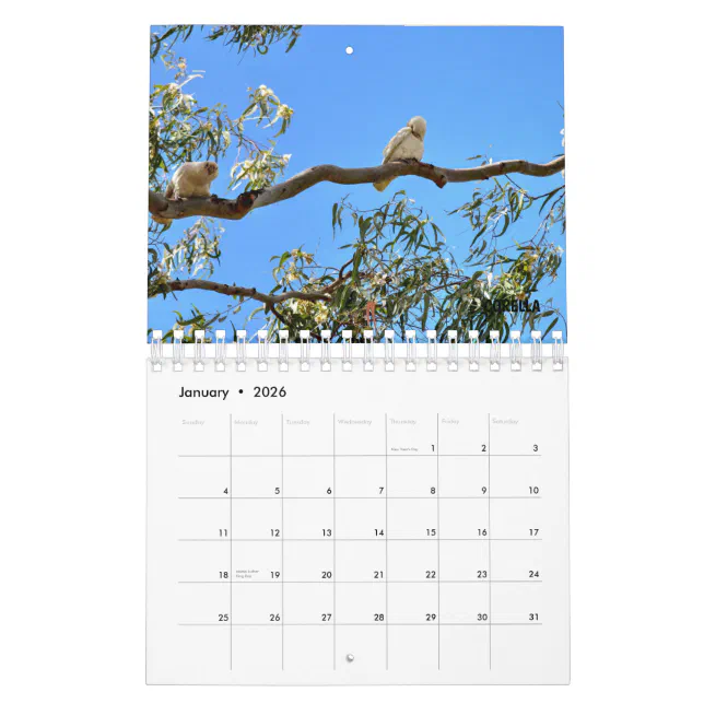 AUSTRALIAN WILDLIFE CALENDAR | Zazzle