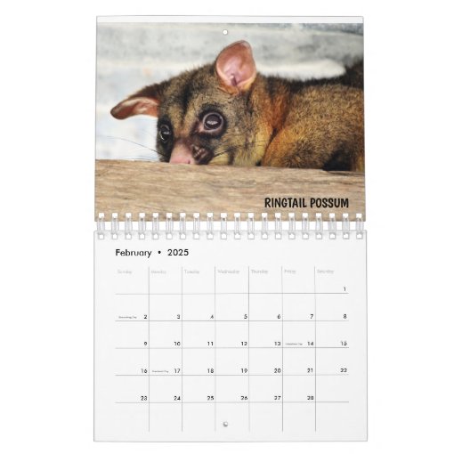 AUSTRALIAN WILDLIFE CALENDAR | Zazzle