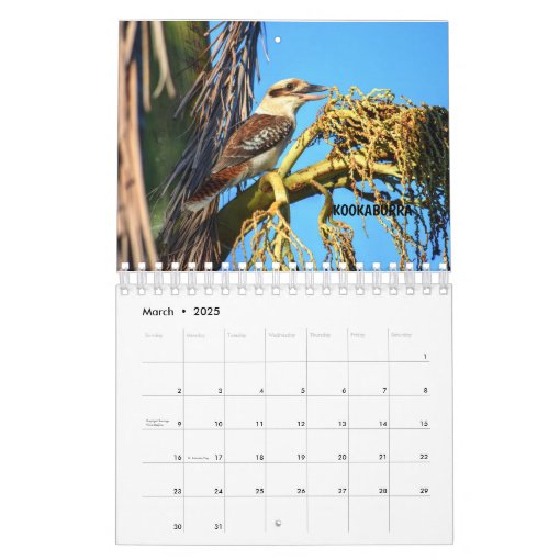 AUSTRALIAN WILDLIFE CALENDAR | Zazzle