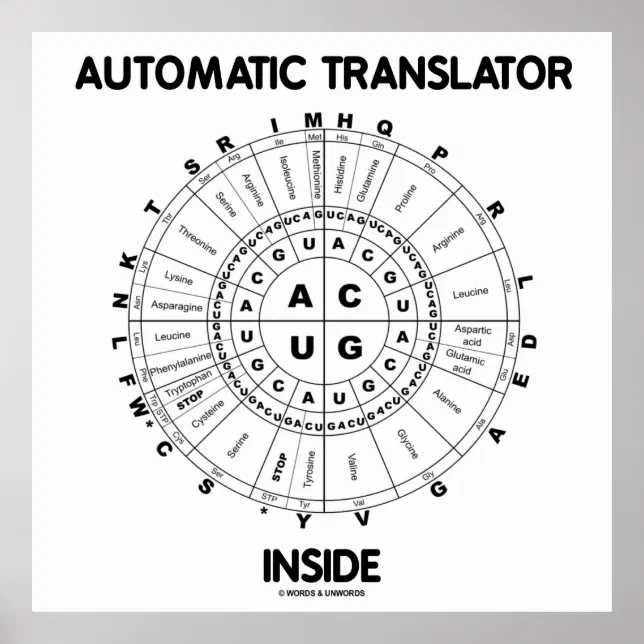 Automatic Translator Inside (RNA Codon Wheel) Poster | Zazzle