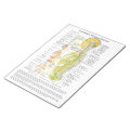 Autonomic Nervous System Tear Off Pad | Zazzle