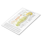 Autonomic Nervous System Tear Off Pad | Zazzle