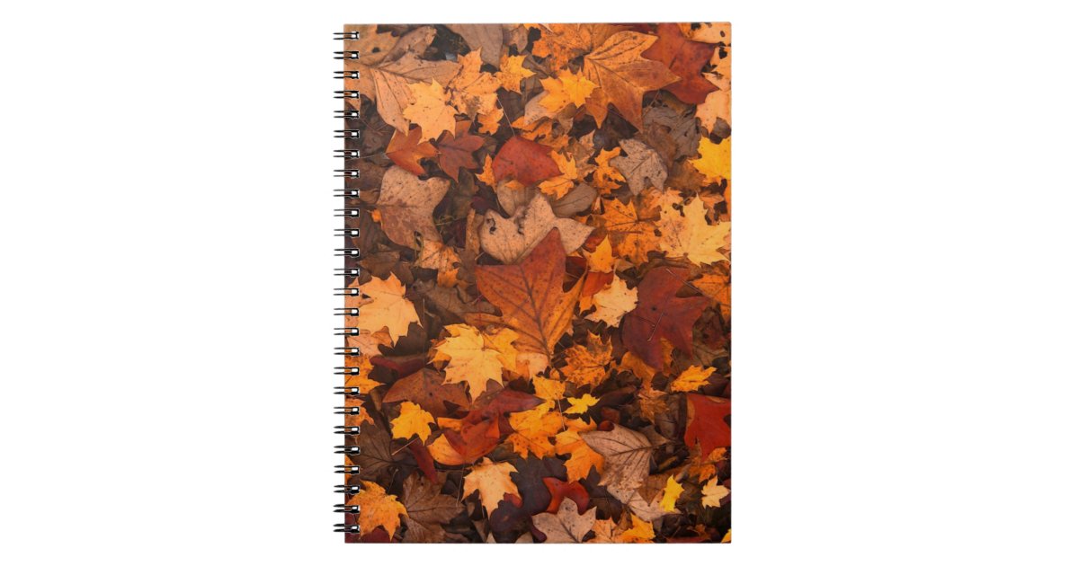 Autum Leaves Notebook | Zazzle