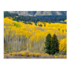 Ruby Falls Postcard | Zazzle.com