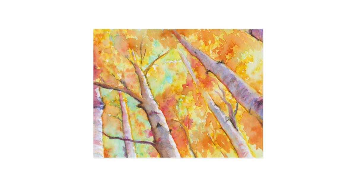 Autumn Aspens Postcard | Zazzle.com