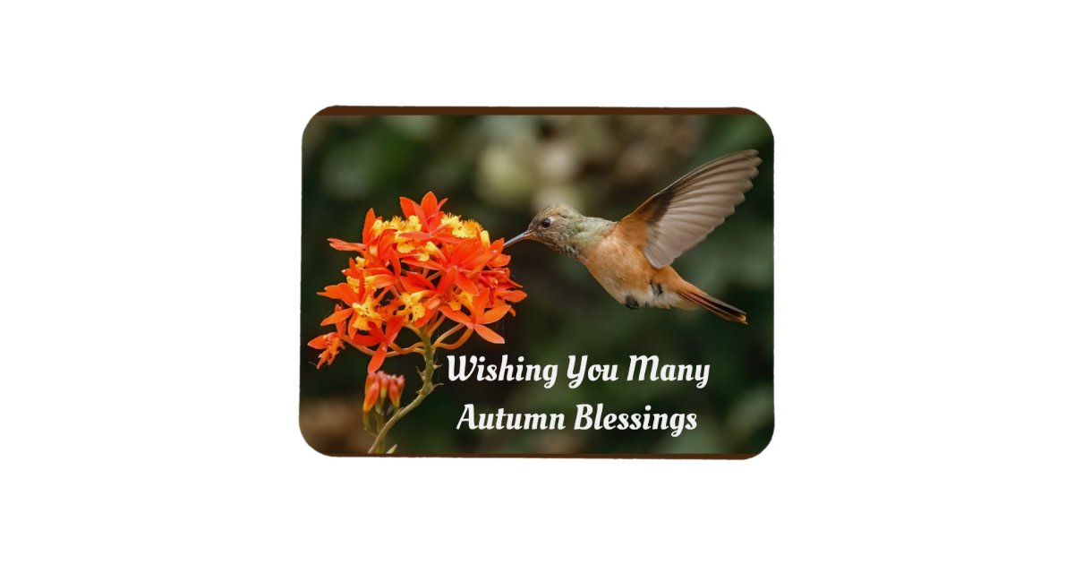 Autumn Blessings Hummingbird Flexible Magnet | Zazzle