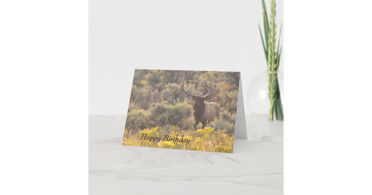 Autumn Bull Elk Custom Happy Birthday Card | Zazzle