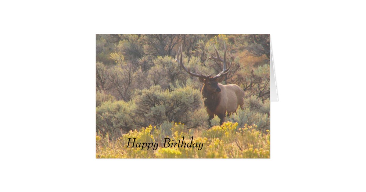 Autumn Bull Elk Custom Happy Birthday Card | Zazzle.com