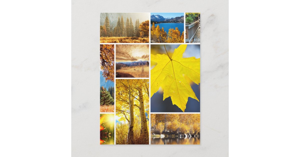 Autumn collage postcard | Zazzle