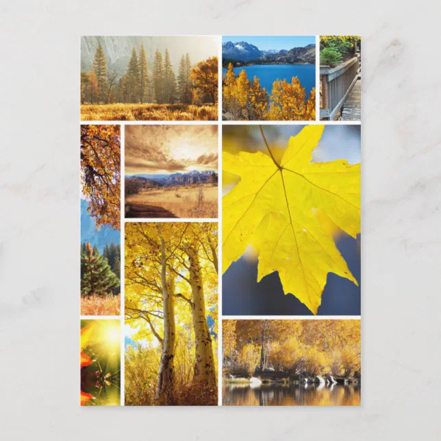 Autumn collage postcard | Zazzle