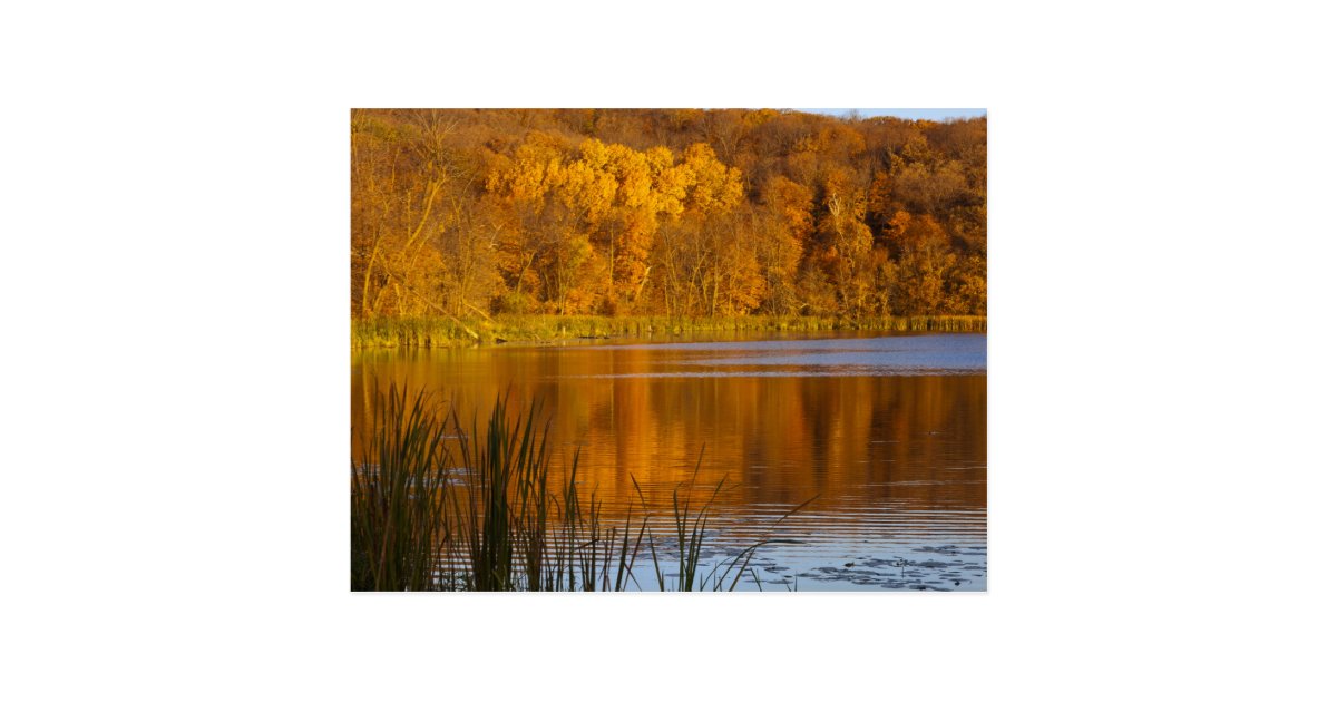 Autumn colors in Maplewood State Park near Postcard | Zazzle.com