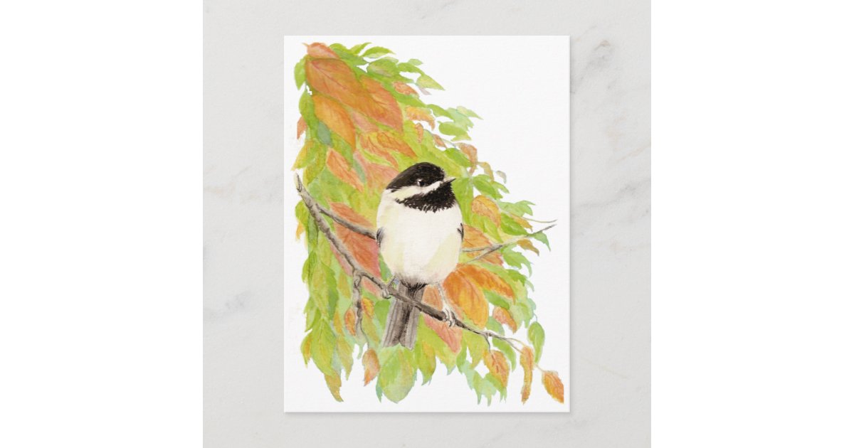Autumn, Fall, Chickadee, Bird Nature Postcard | Zazzle