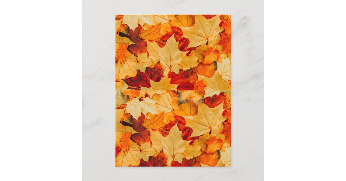 Autumn Fall Leaves Greeting Card | Zazzle