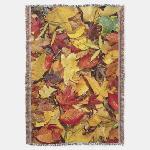 Autumn fall throw blanket | Zazzle