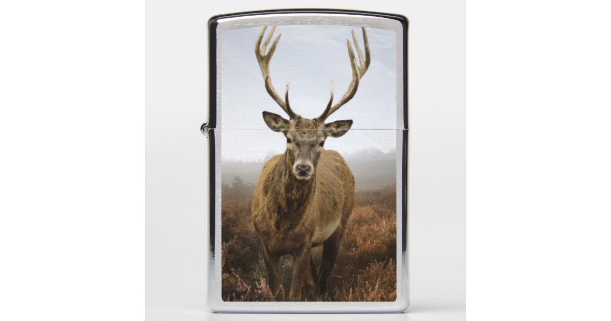 Autumn Fall with beautiful red deer stag Zippo Lighter | Zazzle