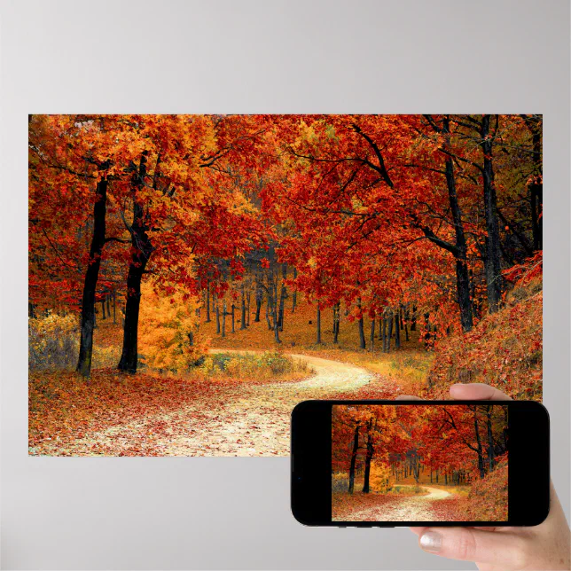 Autumn Forest Poster | Zazzle
