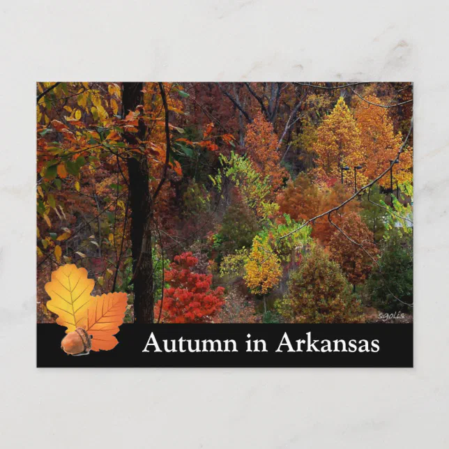 Autumn in Arkansas / Fall Season Trees Photograph Postcard | Zazzle