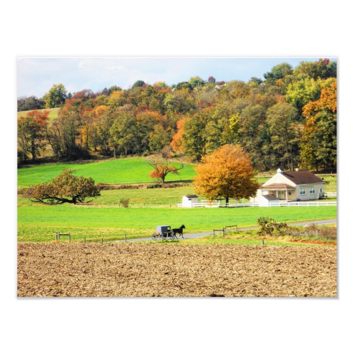 Autumn in Lancaster County, PA Photo Print | Zazzle.com