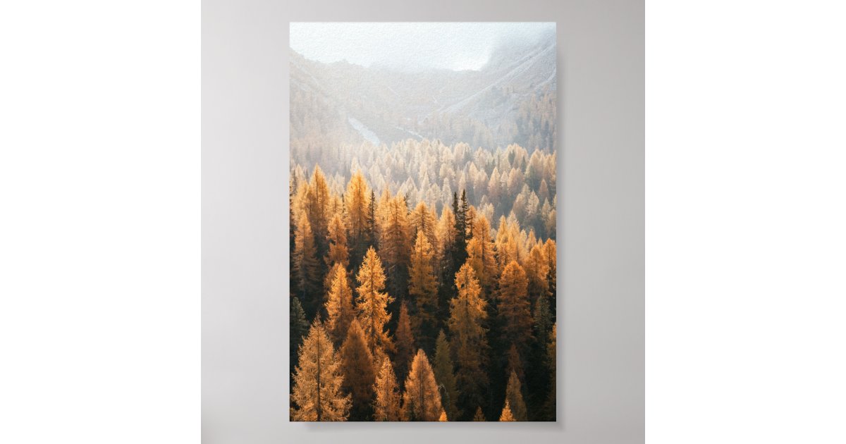 Autumn Landscape Poster | Zazzle