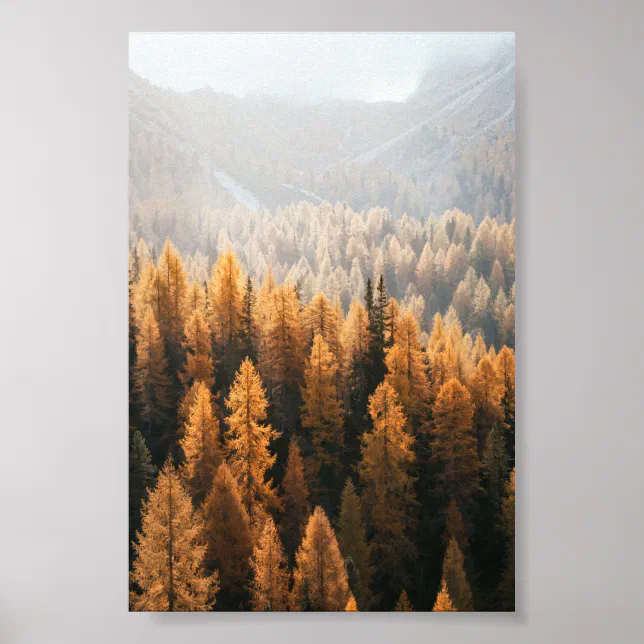 Autumn Landscape Poster | Zazzle