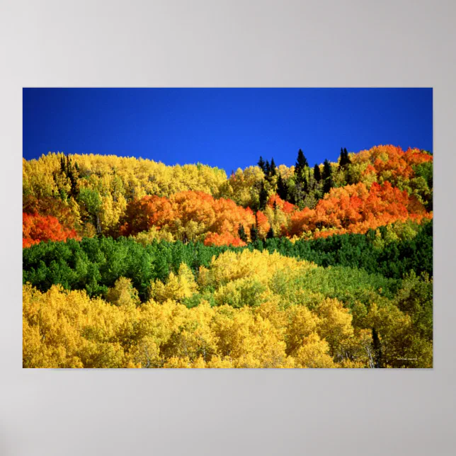 Autumn Landscape Poster | Zazzle