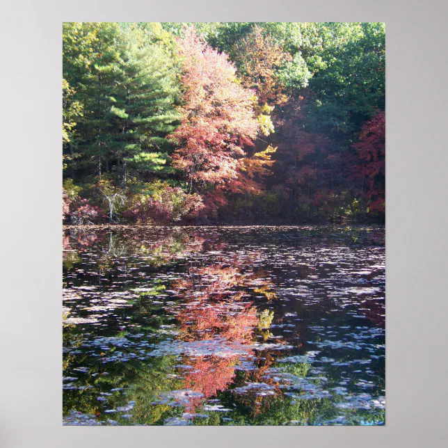 Autumn Landscape Poster | Zazzle