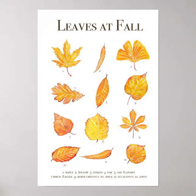 Autumn leaves collection watercolour poster | Zazzle