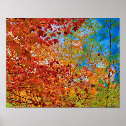 Autumn Leaves Colorful Orange Fall Themed Blue Sky Poster | Zazzle