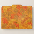 Autumn Leaves Design File Folders Set | Zazzle