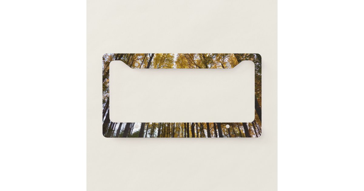 Autumn Leaves in the Morning Maryland Nature License Plate Frame | Zazzle