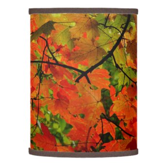 Autumn Leaves Lamp Shade | Zazzle