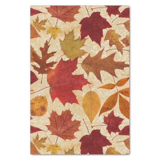 Autumn Leaves on Beige Tissue Paper | Zazzle