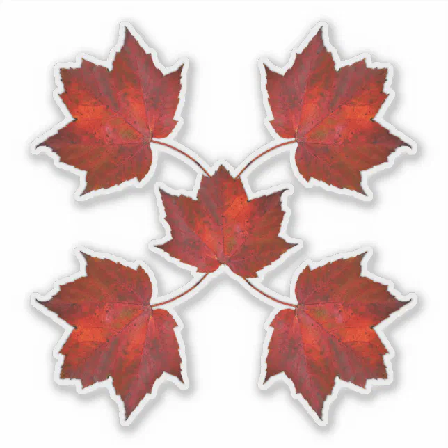 Autumn Leaves Red Leaf Shapes Sticker | Zazzle