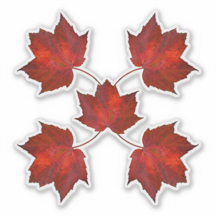 Autumn Leaves Red Leaf Shapes Sticker | Zazzle.com