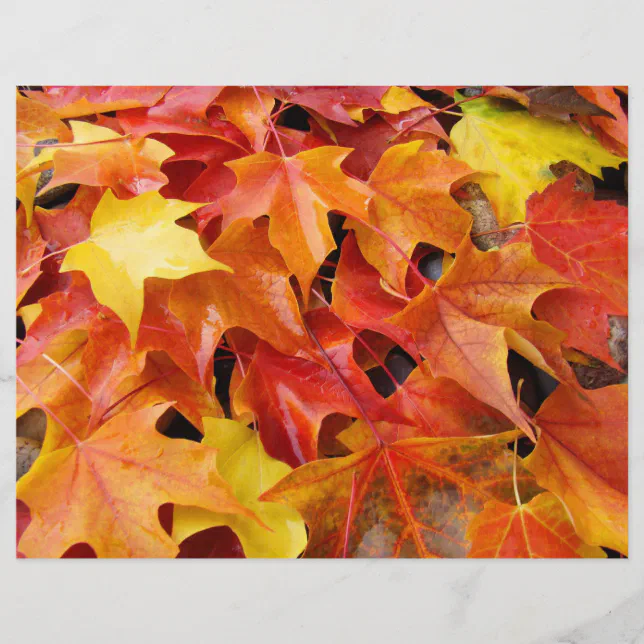 Autumn Leaves Scrapbooking paper Fall Leaves | Zazzle
