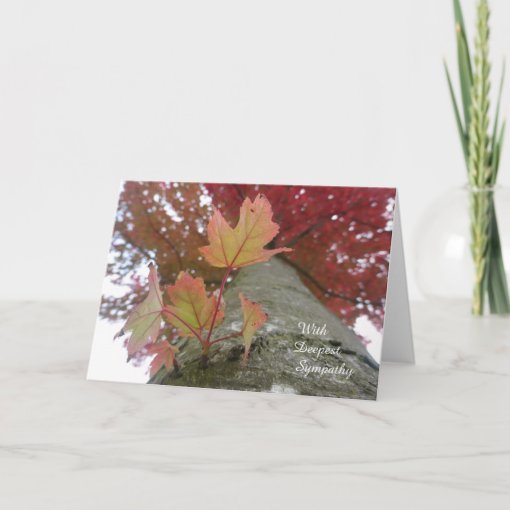 Autumn Leaves Sympathy Card | Zazzle